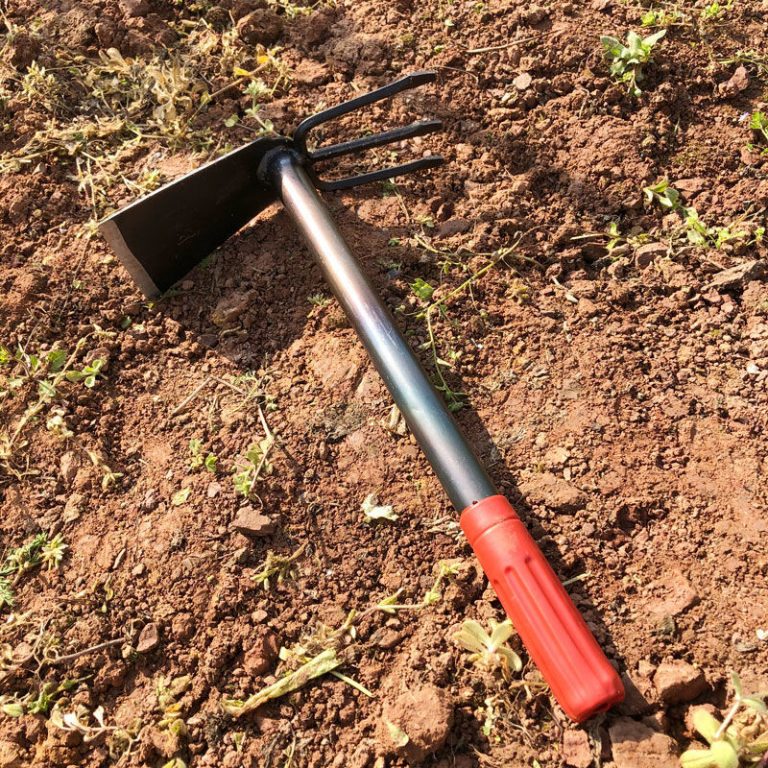 Loose soil and weeding garden hoe