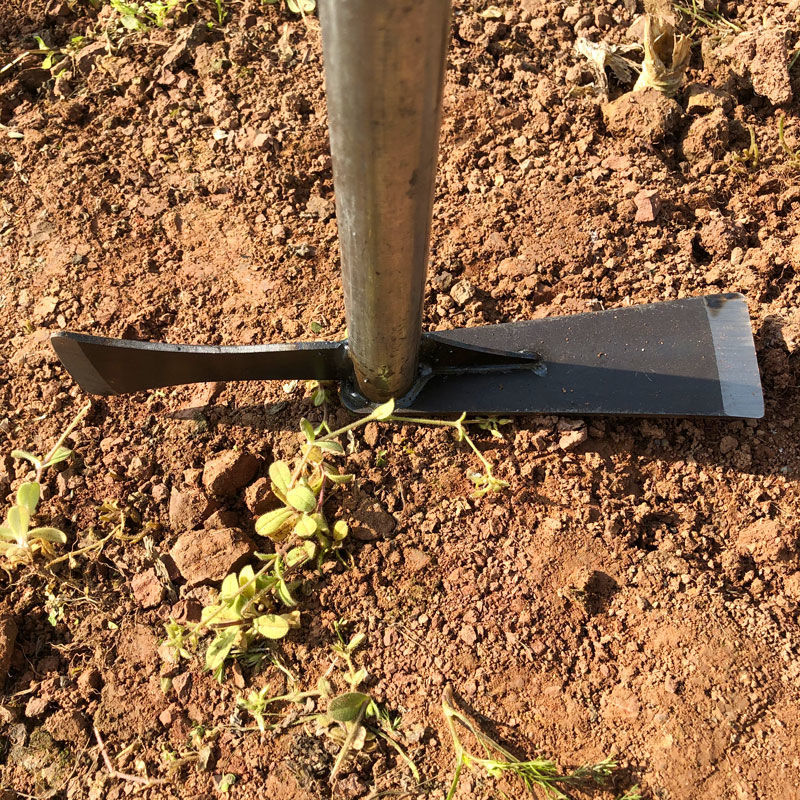 Loose soil and weeding garden hoe